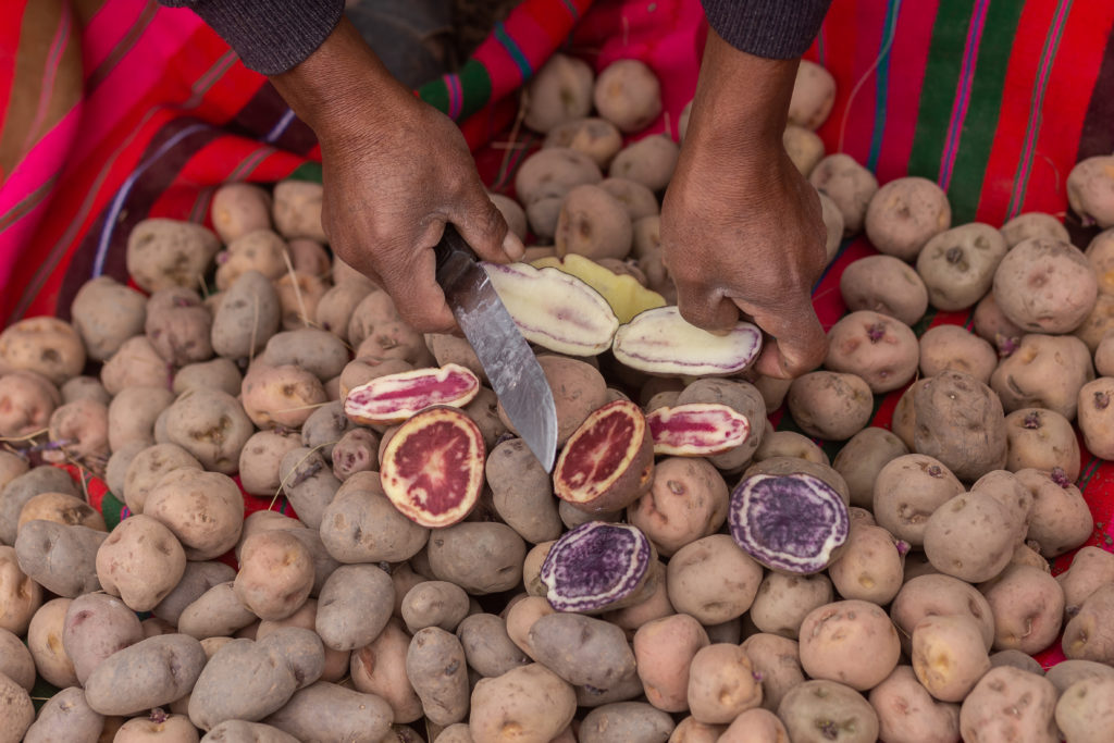 Un système alimentaire relocalisé ? Au Sénégal, la Fapal relève le défi